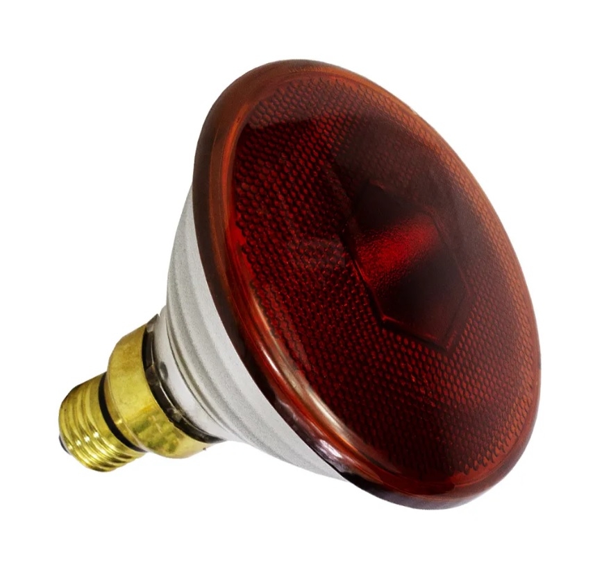 Lâmpada Infravermelho Infralight 150W - IRED LAMP
